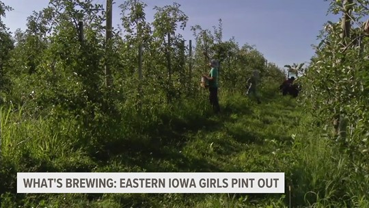What's Brewing? | Eastern Iowa Girls Pint Out - Brewed